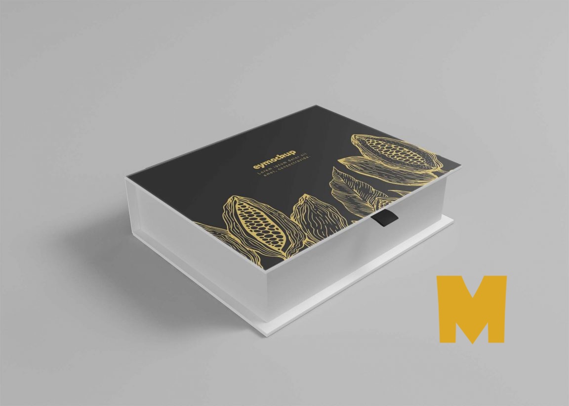 Free Hard Case Box Mockup