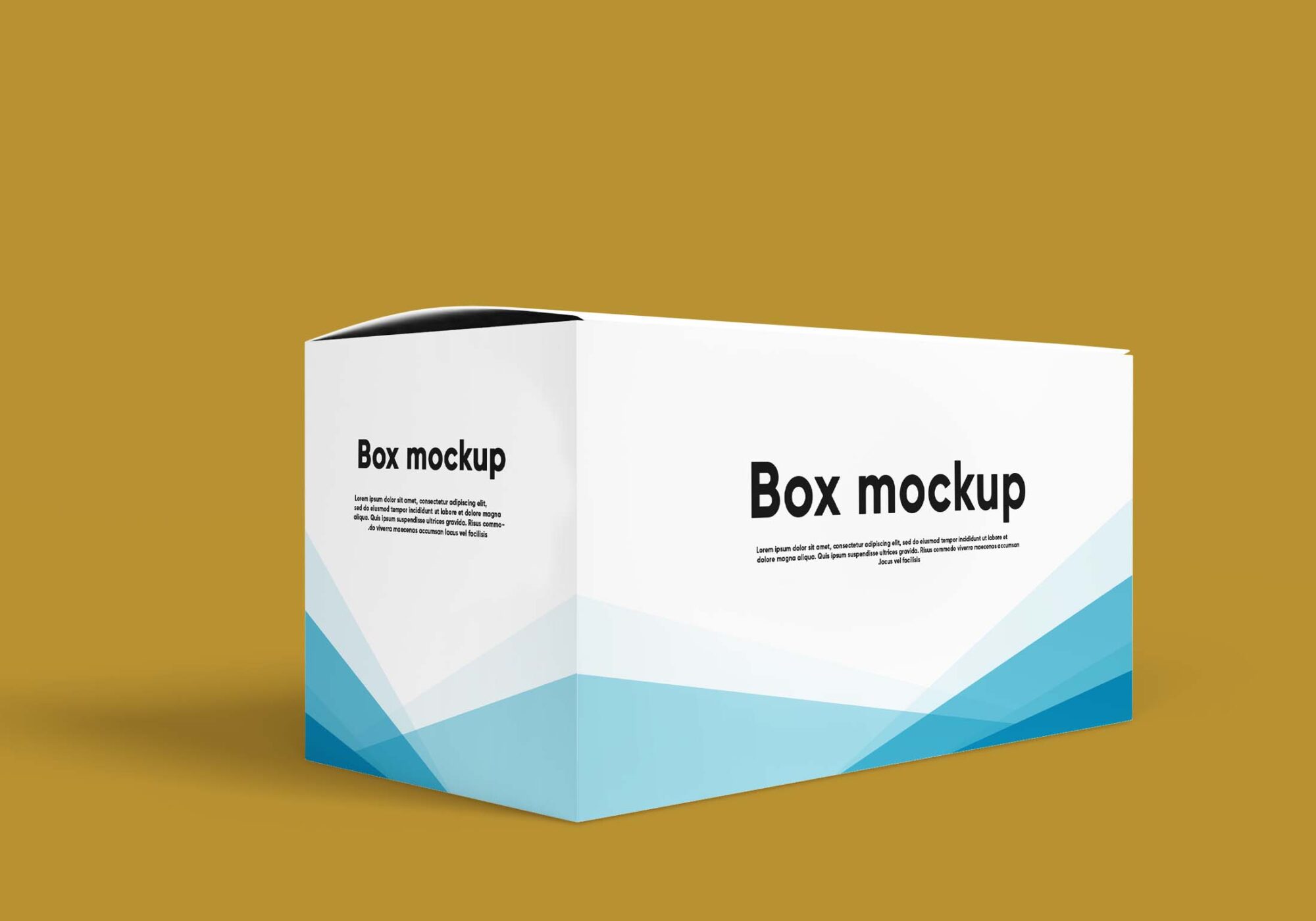 Free Medical Box Mockup