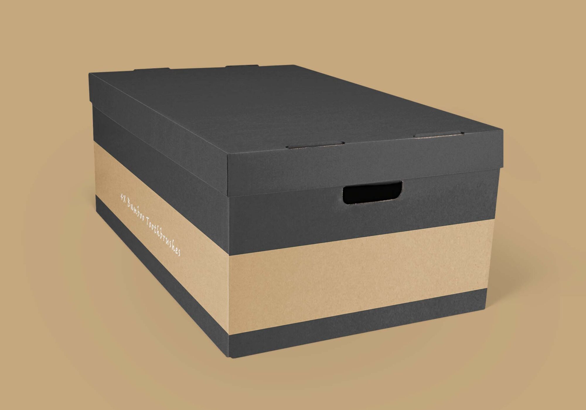 Free Modern Flip Flop Box Mockup