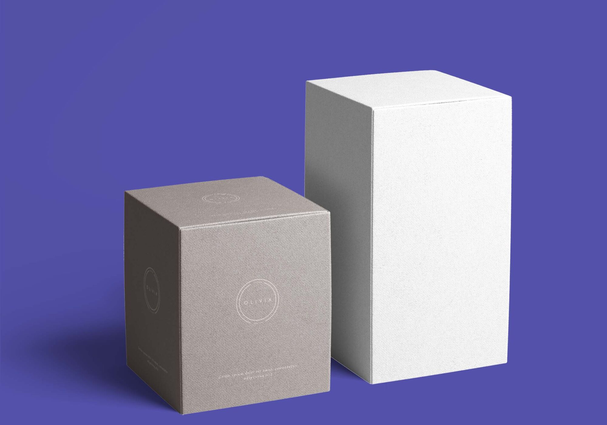 Free Food Creative Packaging Box Mockup